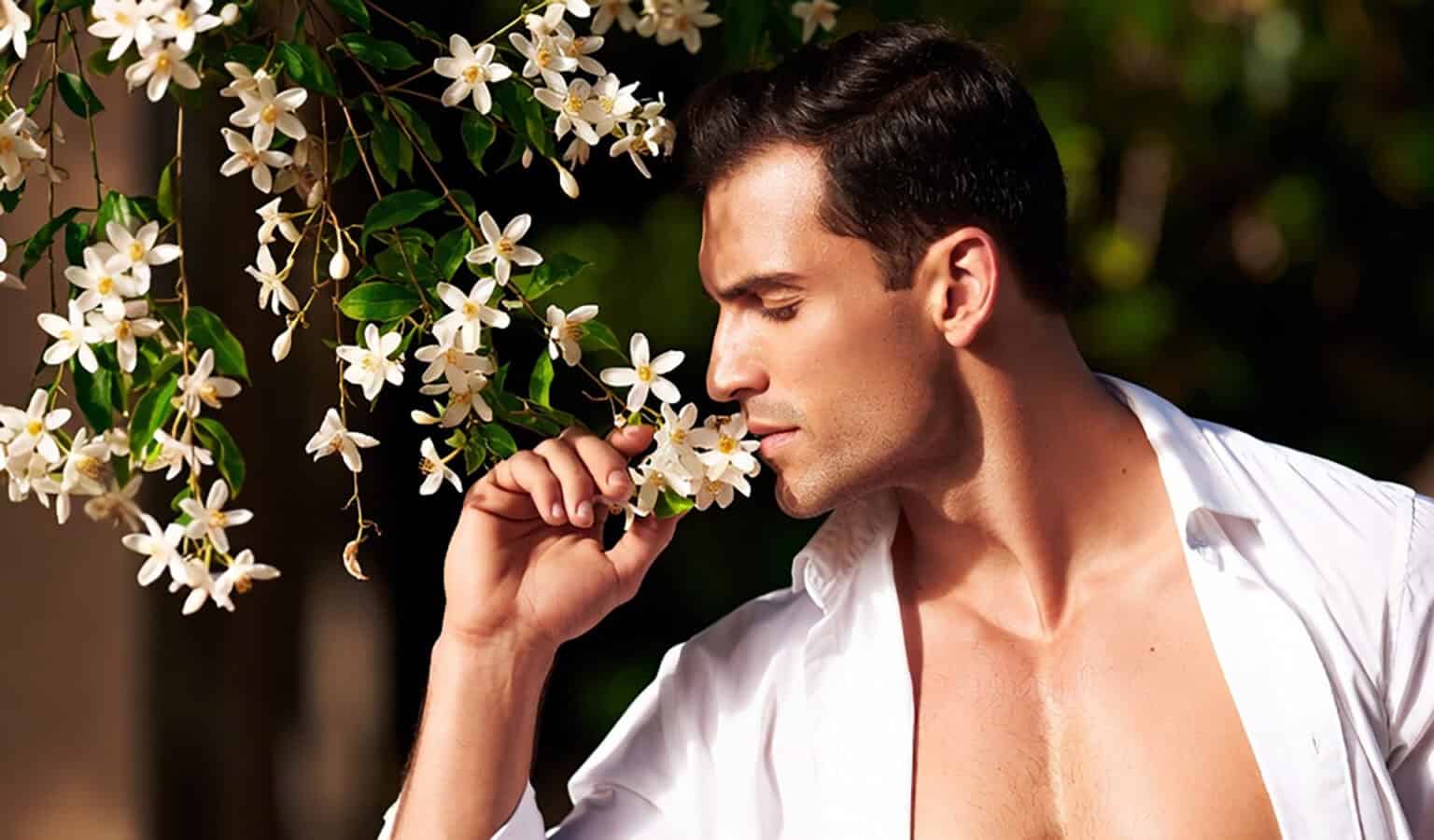 12 Perfumes Men Love on Women in 2026, the Science Behind It